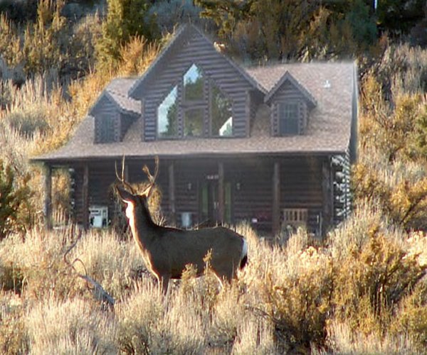 Joess Welcomes you to a Hunters Dream....