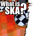 What is Ska?