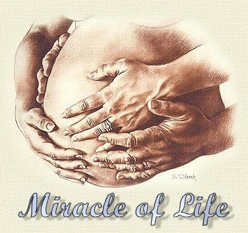Waiting for Jacob ~ Miracle of Life