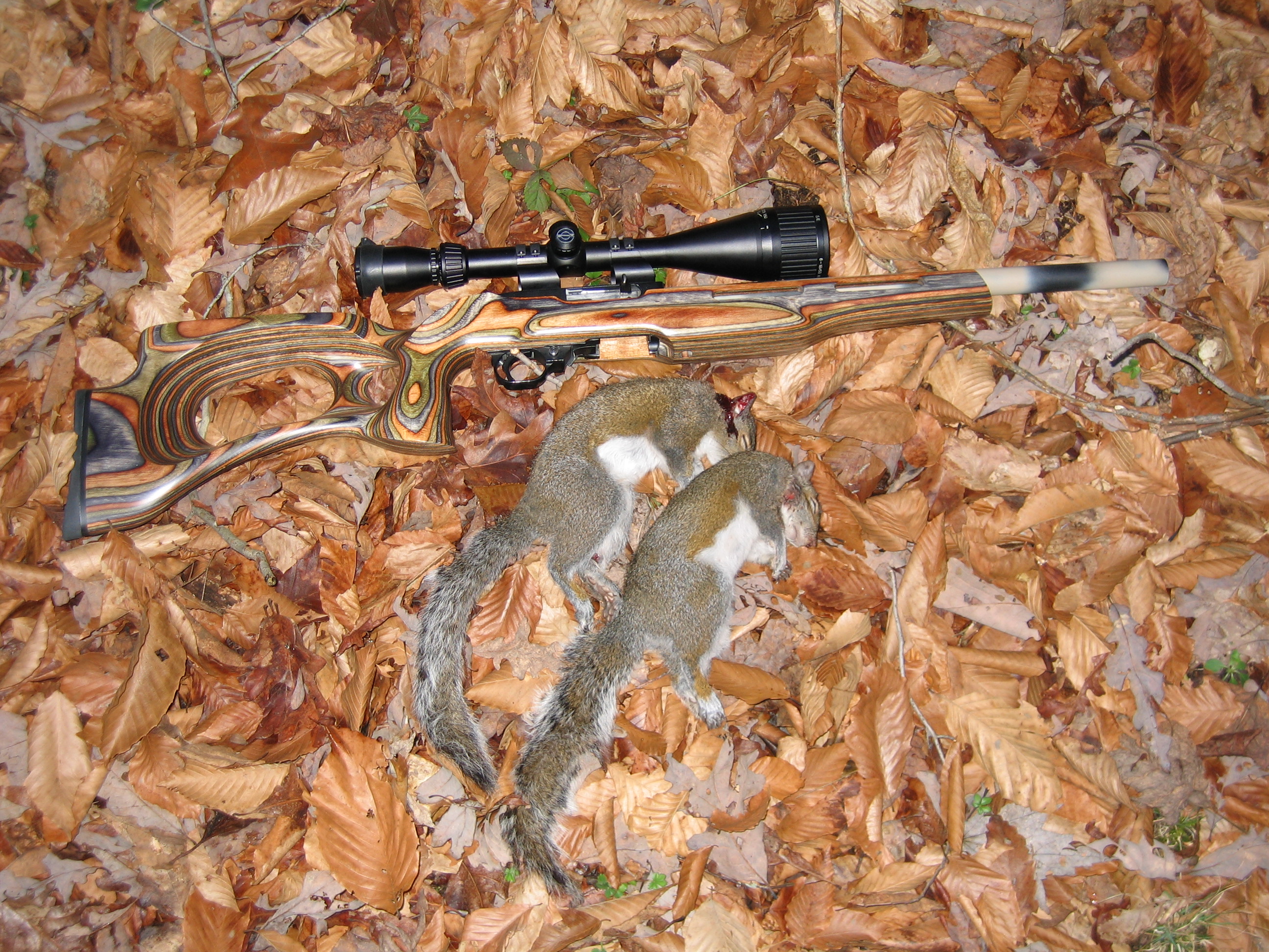 Print Photos | View Full-Size Image