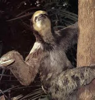 New Page 1 [www.angelfire.com]