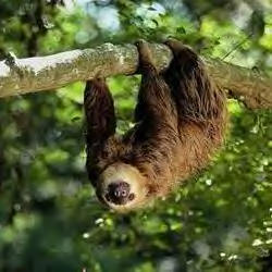 New Page 1 [www.angelfire.com]