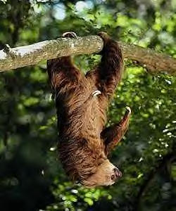 New Page 1 [www.angelfire.com]