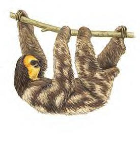 New Page 1 [www.angelfire.com]