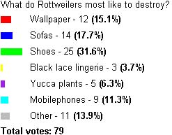 Vieno the Rottweiler : Old polls
