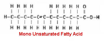 Untitled Document [www.angelfire.com]