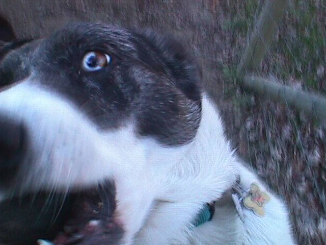 People who have hobbies