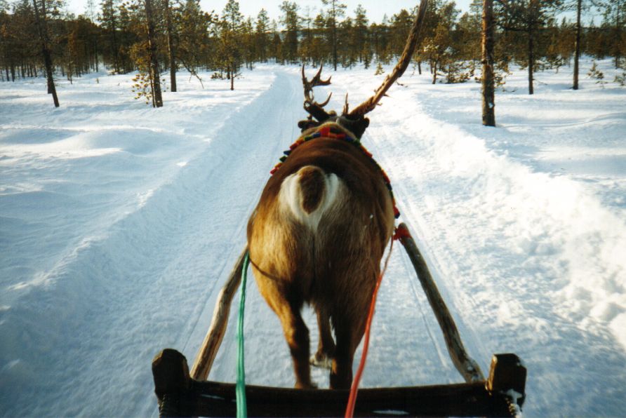 Darren's Europe Photos