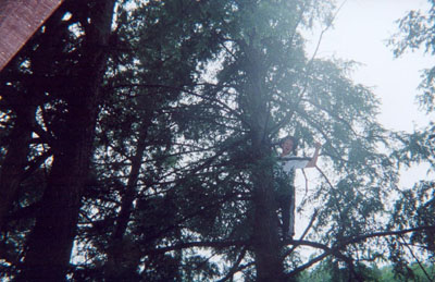 Good times make the trip