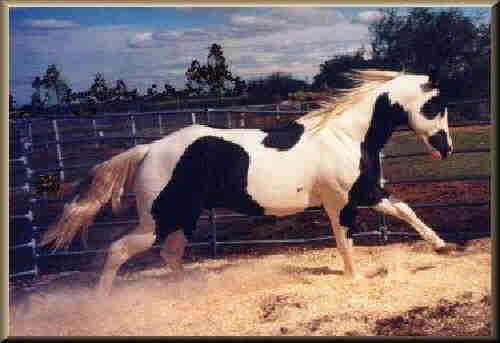 My Gallery: Image 377 of 519