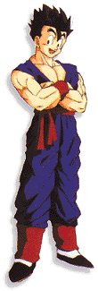 Gohan's Clothing