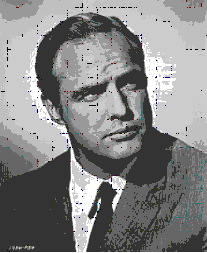 Brando