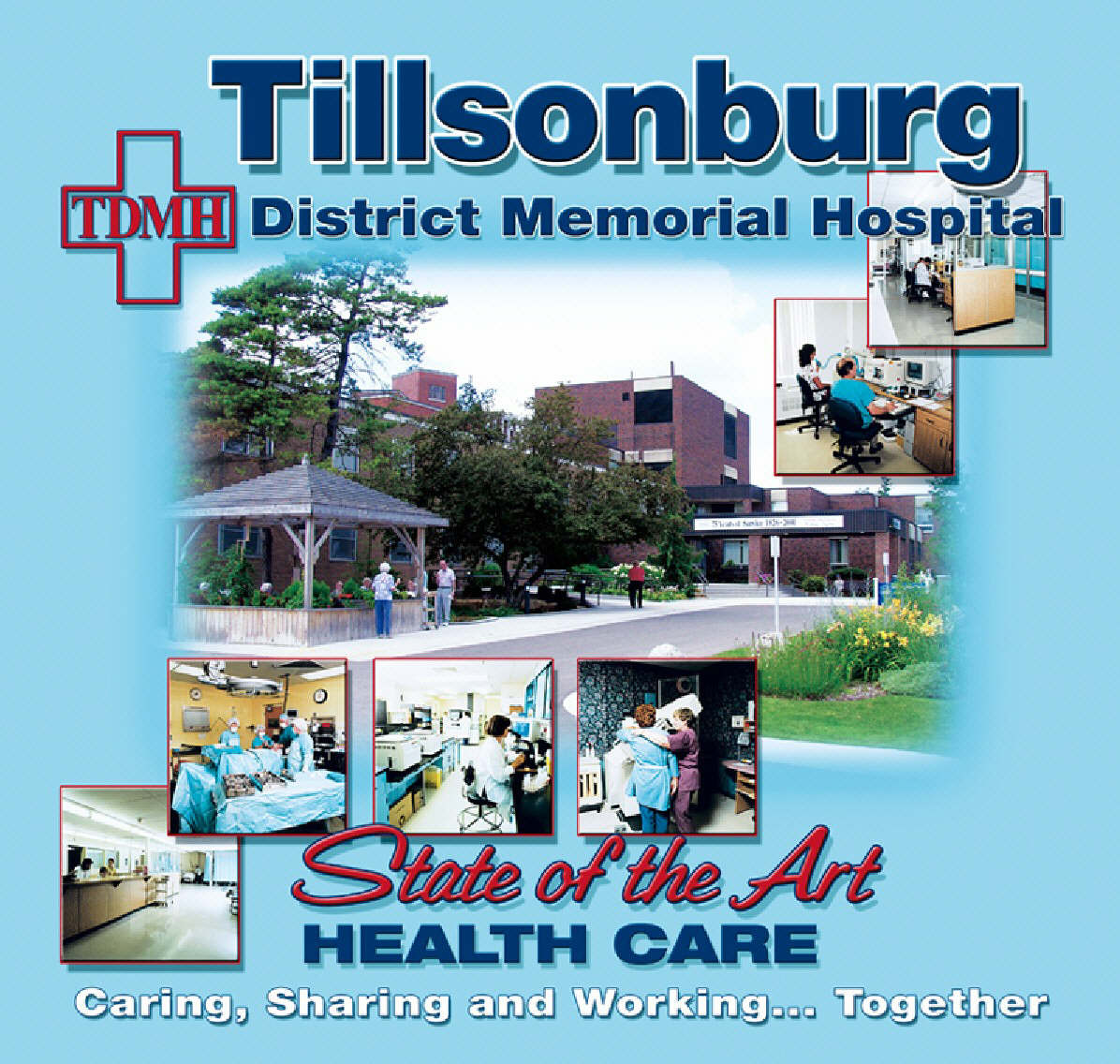 Welcome to TDMH's Annual Report to the Community. Below are links to ...