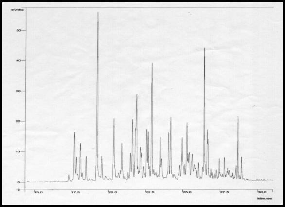Fire Accelerant Analysis