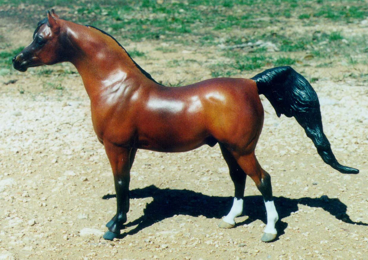 AUCTION! AUCTION! AUCTION!