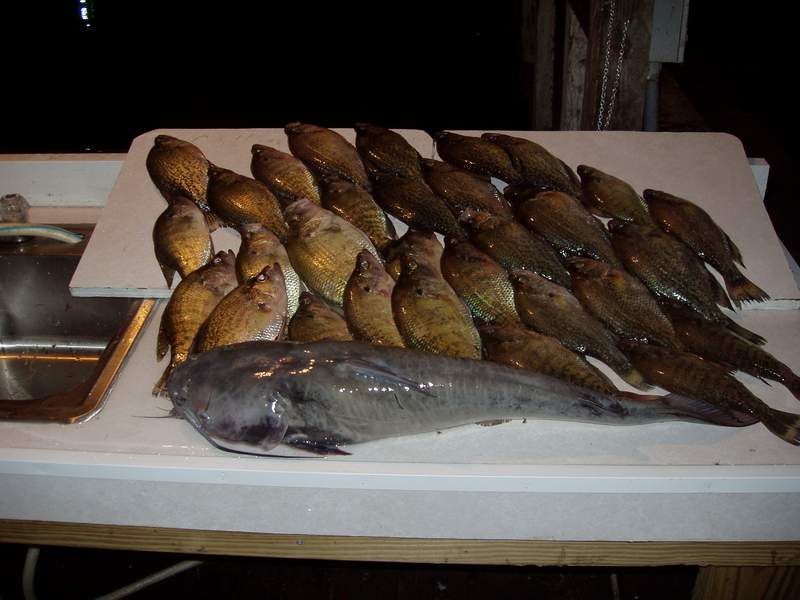 Really this was a good mess of fish, we were both happy.