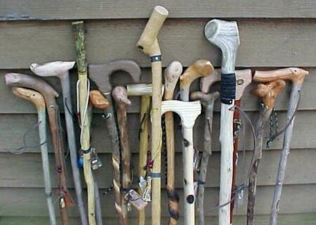 walking Sticks