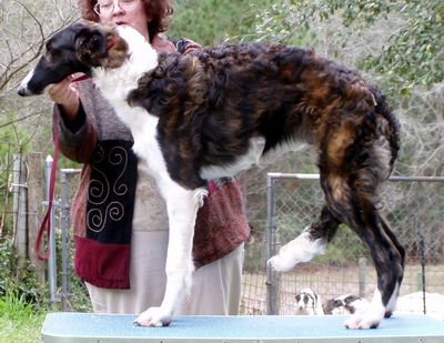 View Full-Size Image