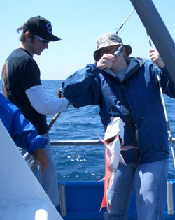 New Page 1 [www.angelfire.com]