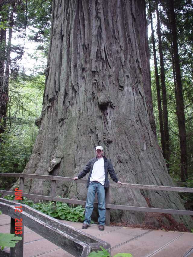 Angela and John's Califonia pictures... well, some of them