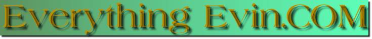 Welcome To Everythingevin.com