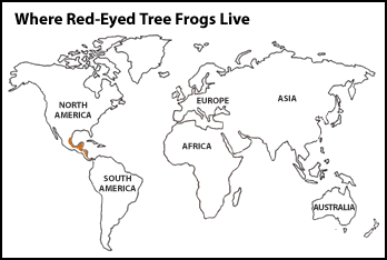 The orange area on the map shows where red-eyed tree frogs live. They ...