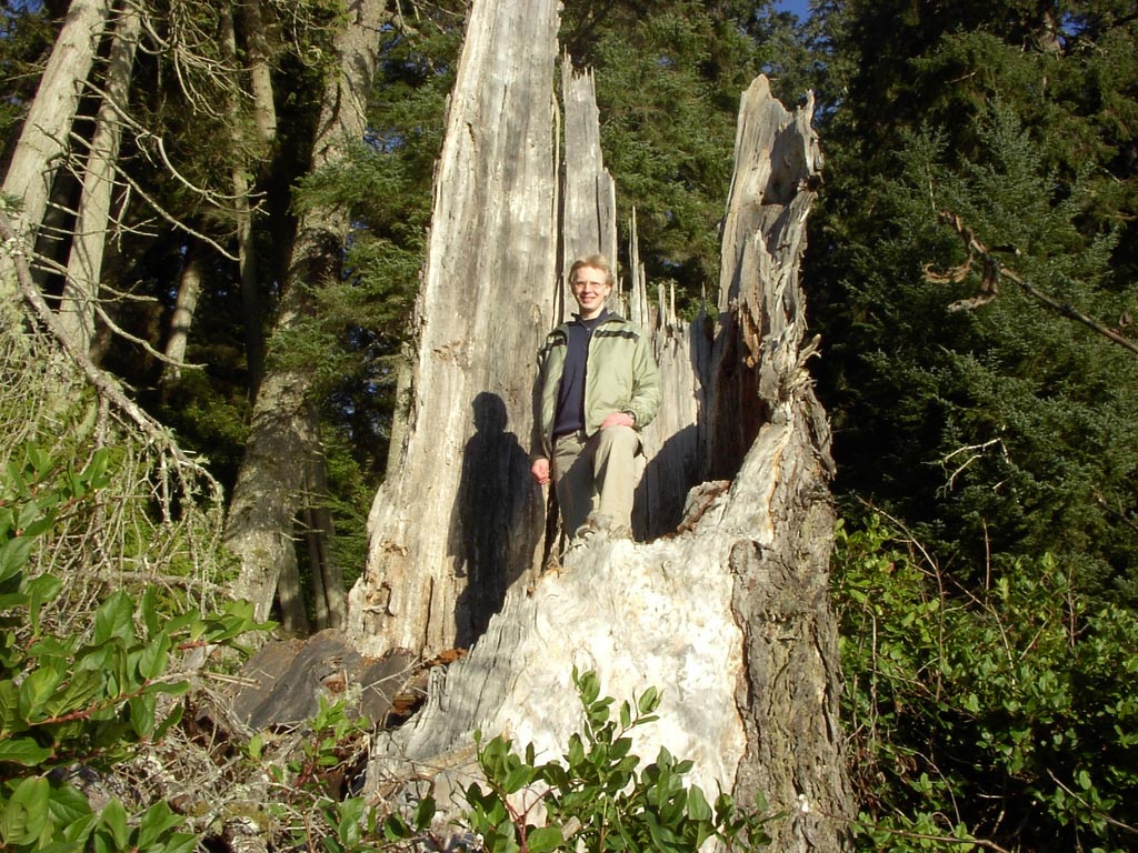 View Full-Size Image