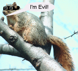 Evil Squirrel Page
