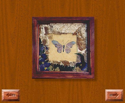 Pressed Flower Art by: Linda Rae Originals