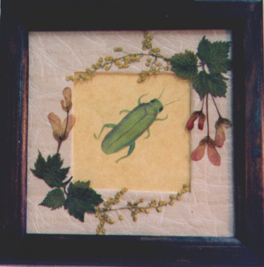 Pressed Flower Art by: Linda Rae Originals