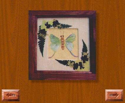 Pressed Flower Art by: Linda Rae Originals