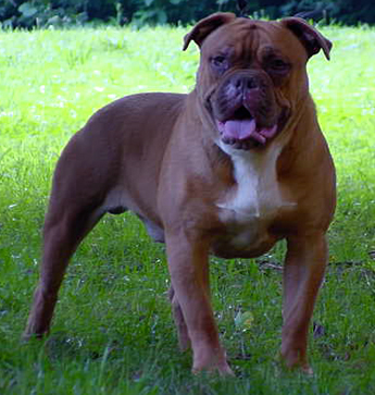 New Page 1 [www.angelfire.com]