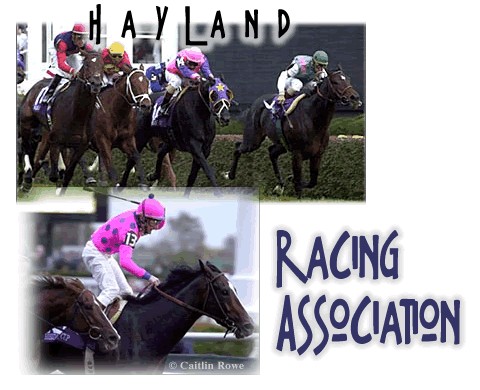 Hay! Land Racing Association