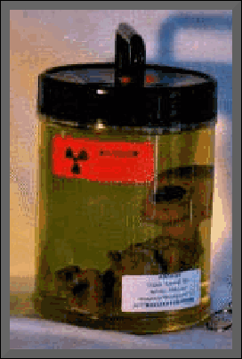 ALIEN FETUS IN LAB JAR