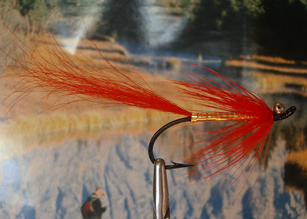 Salmon and Steelhead Fly Patterns