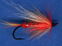 Salmon and Steelhead Fly Patterns
