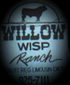 Welcome to Willow Wisp Ranch