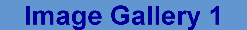 Image Gallery 1