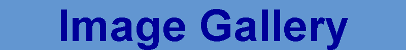 Image Gallery