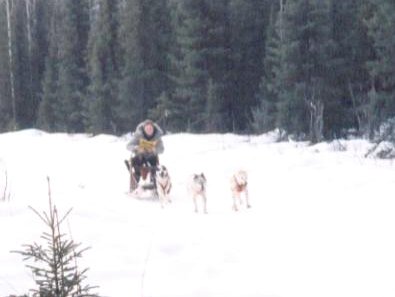 PSDRA Business Person's Race 2004