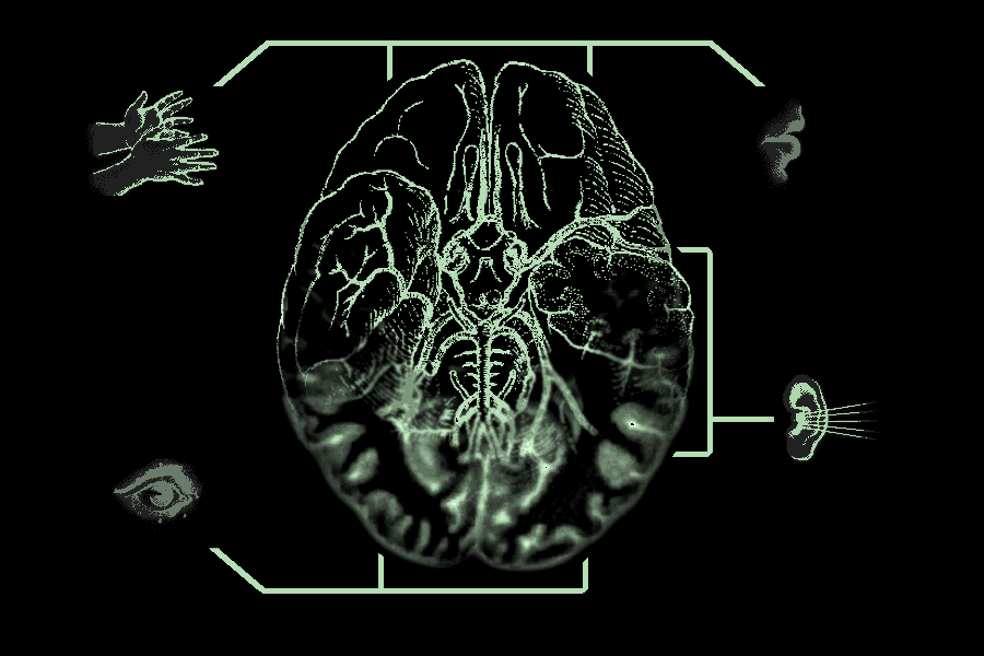 Pathologically Special Site Map