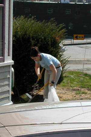 This, my friends, is Poopasaurus Rex. In case you were wondering what ...