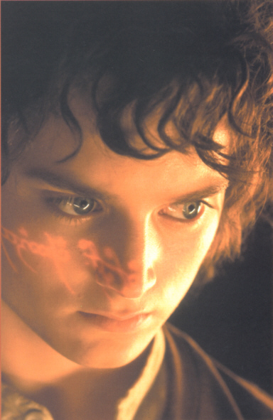 Steffy's Little Corner on the Net