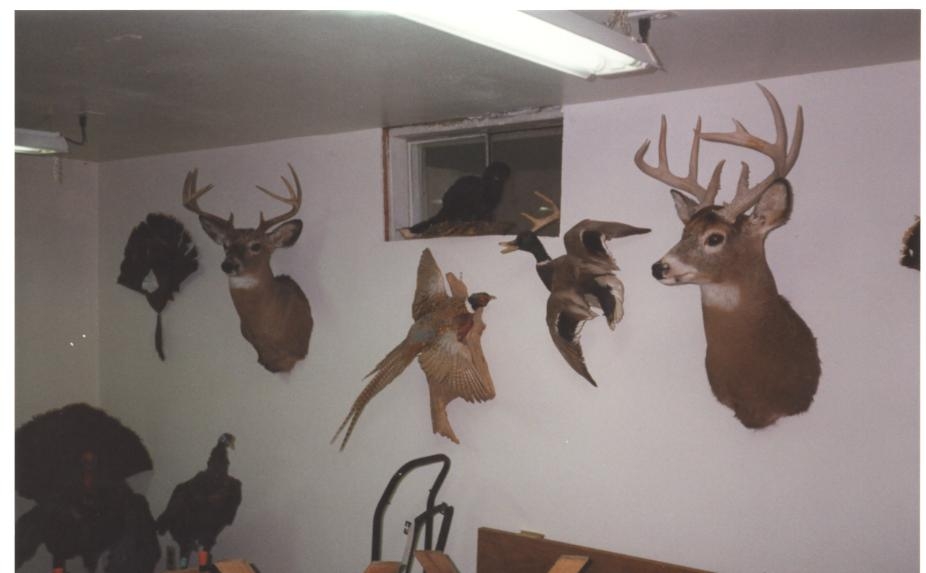 Charlie Esser's Hunting Pictures