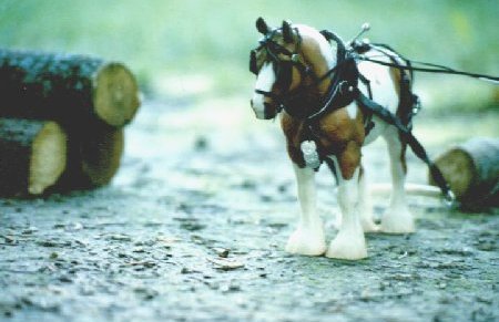 Wisconsin's Model Horse Connection