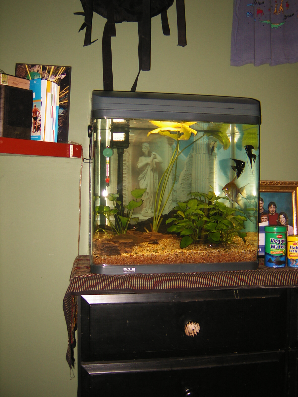 View Full-Size Image