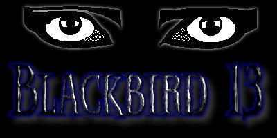 Blackbird 13