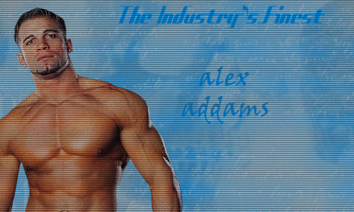 "Seriously… Go Home."- Alex Addams