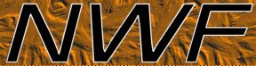 NWF Breaking News