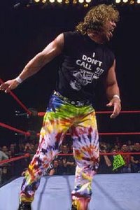 THE ULTIMATE WRESTLING EXPERIENCE